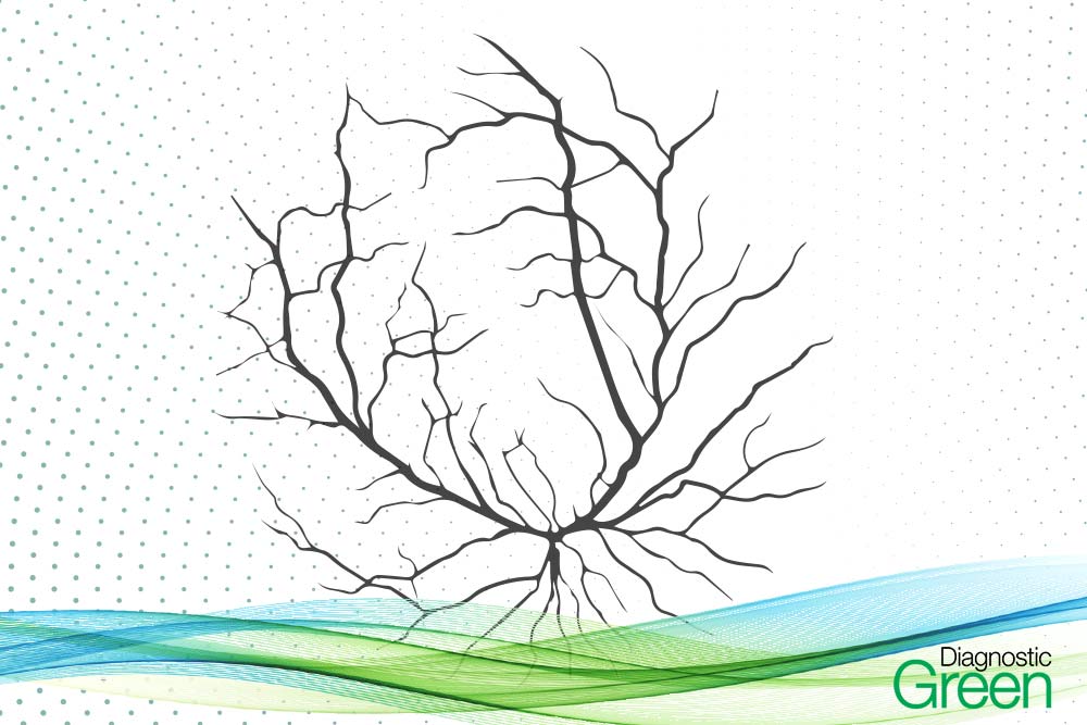 LAIG in Head and Neck Reconstruction: Impact and Outcomes