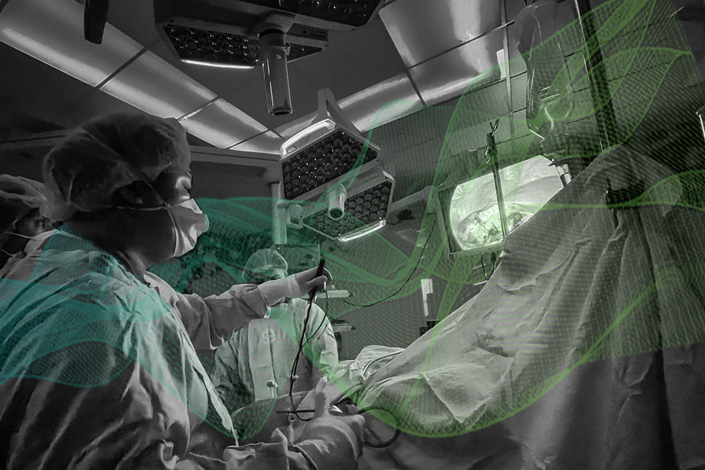 Perfusion Assessment in Gracilis Muscle with NIR Fluorescence
