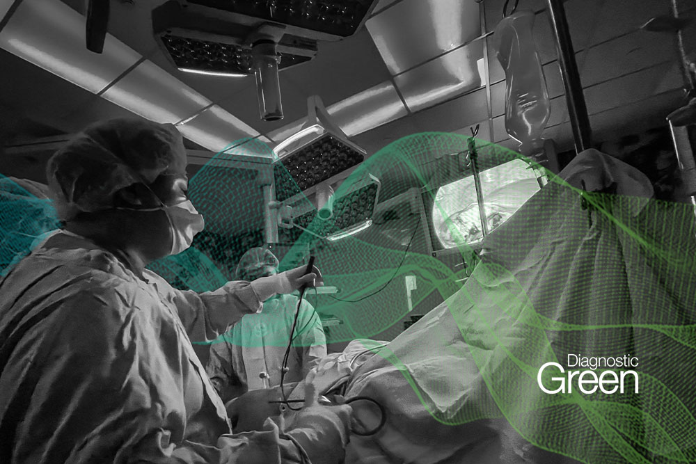 ICG Perfusion After Robotic IMT Ligation for Type II Endoleak