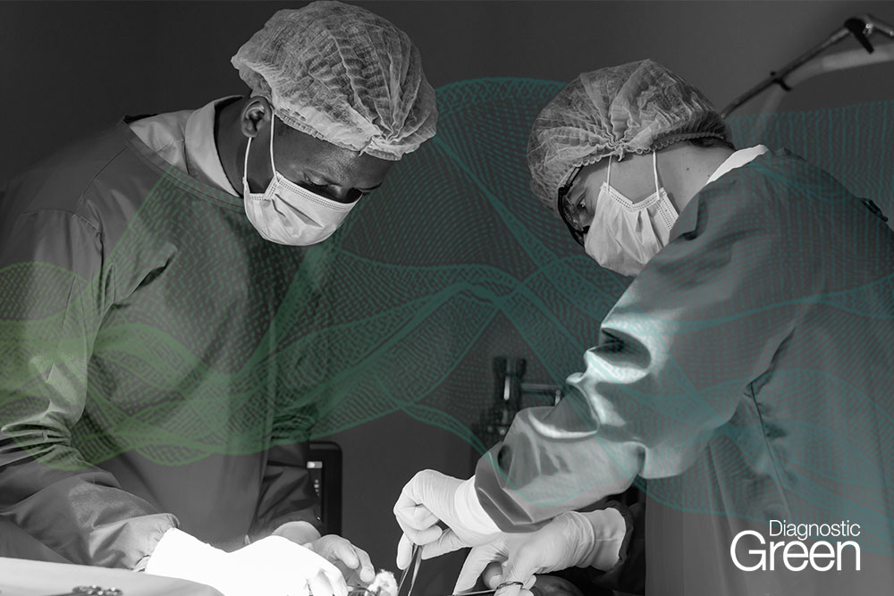 ICG Fluorescence & Ultrasound in Liver Ablation